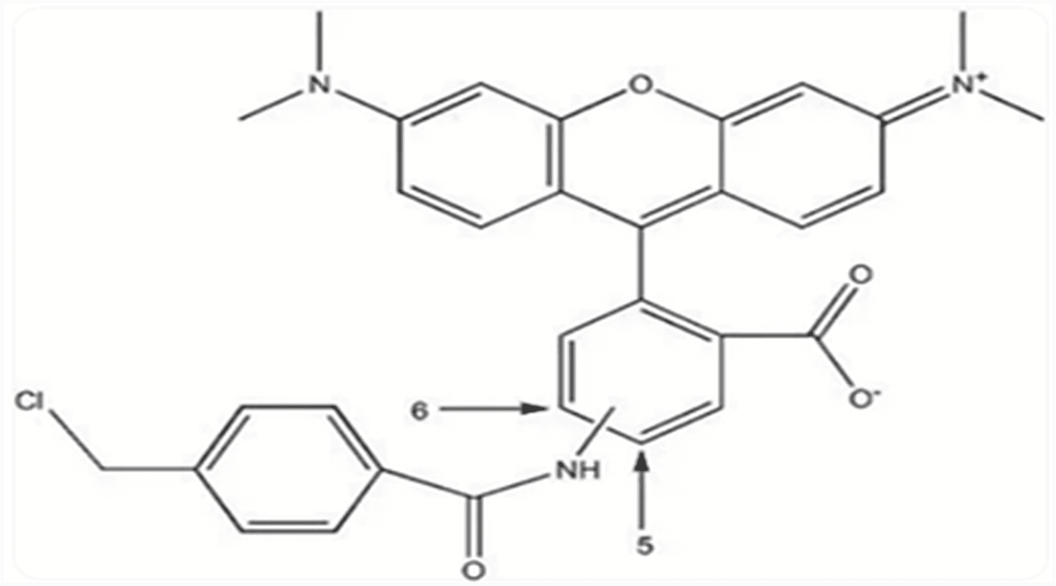 Cell-Tracker Orange CMTMR，323192-14-9