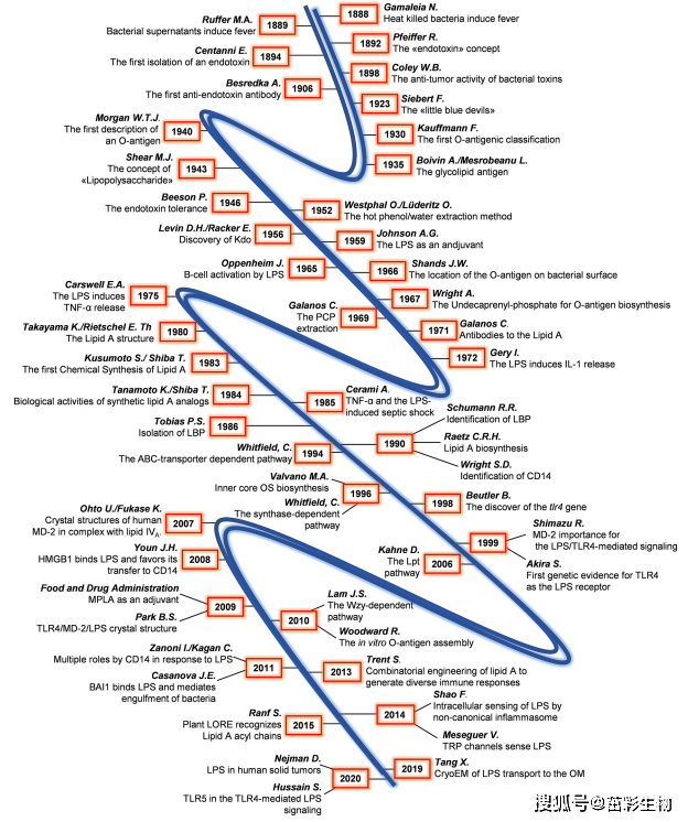 什么是脂多糖(LPS)_细菌_结构_作用