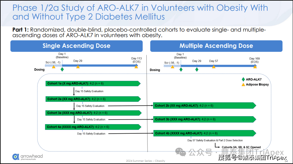 不怕贴秋膘！ ALK7 siRNA 脂肪递送、精准减脂，鼎泰 KBI 打造影像学小蛮腰_today_临床_药物