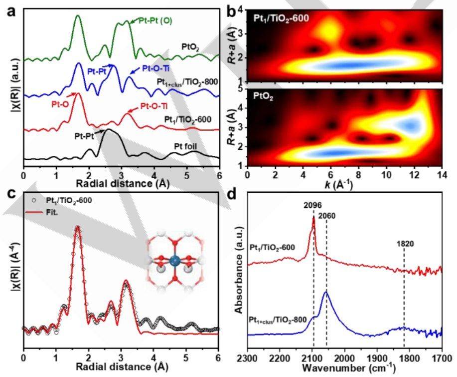 ＞99%，36岁获「国家杰青」，今年已发7篇Angew！_PtNPs_原子_空气
