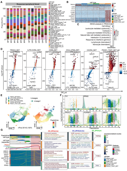 IF=48.8|通过类器官共培养验证食管鳞癌免疫治疗反应_细胞_研究_帕博利