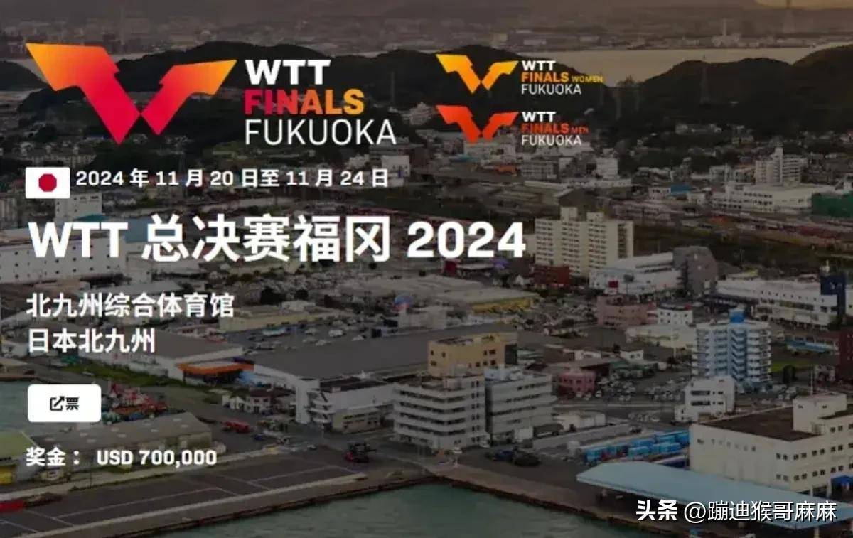 2024WTT福冈总决赛参赛名单终于确定，16位高手年终对决即将打响_单打_双打_奖金