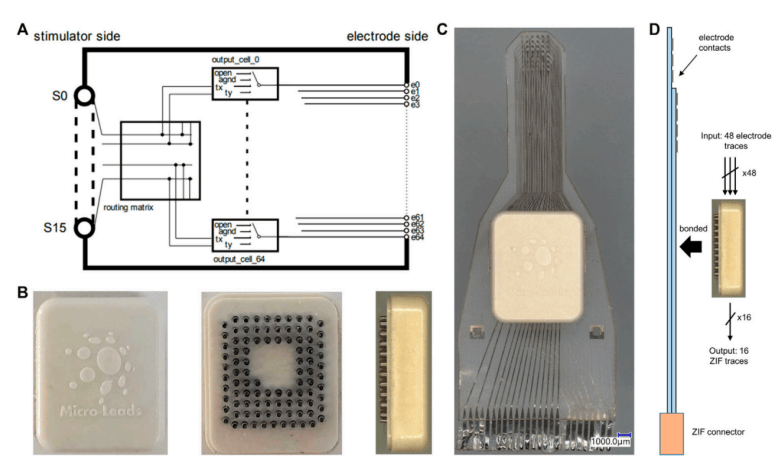 Intan Technologies RHD 2164 64通道放大器精确定位的电生理信号的能力_电极_的设备_阵列