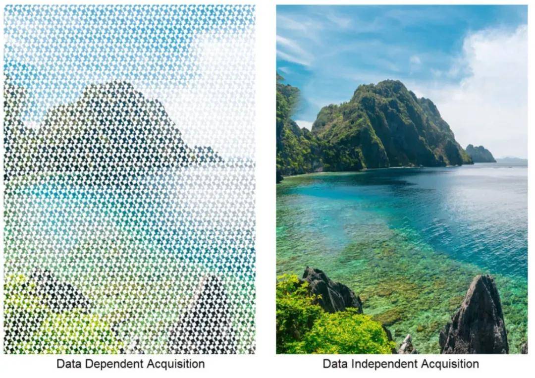 备战2025国自然 | TMT、LFQ与DIA技术深度解析_检测_定量_蛋白质