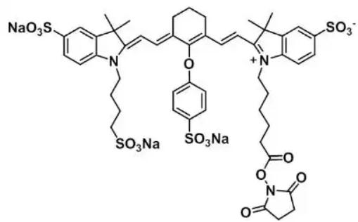 一种胺反应性近红外高水溶性荧光染料，IR800 NHS活性脂