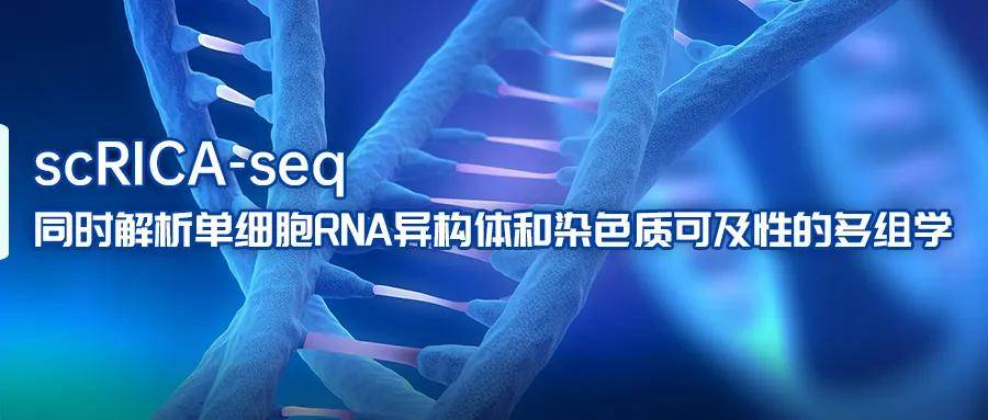 scRICA-seq: 同时解析单细胞RNA异构体和染色质可及性的多组学_scRNA-seq_研究_分析