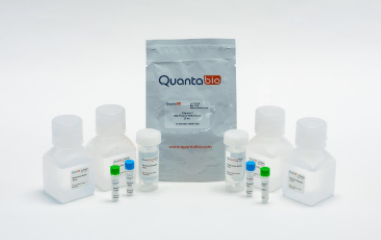 Quantabio-提取用于PCR的DNA制剂，快速简便地提取PCR基因组DNA_应用_qScript_试剂
