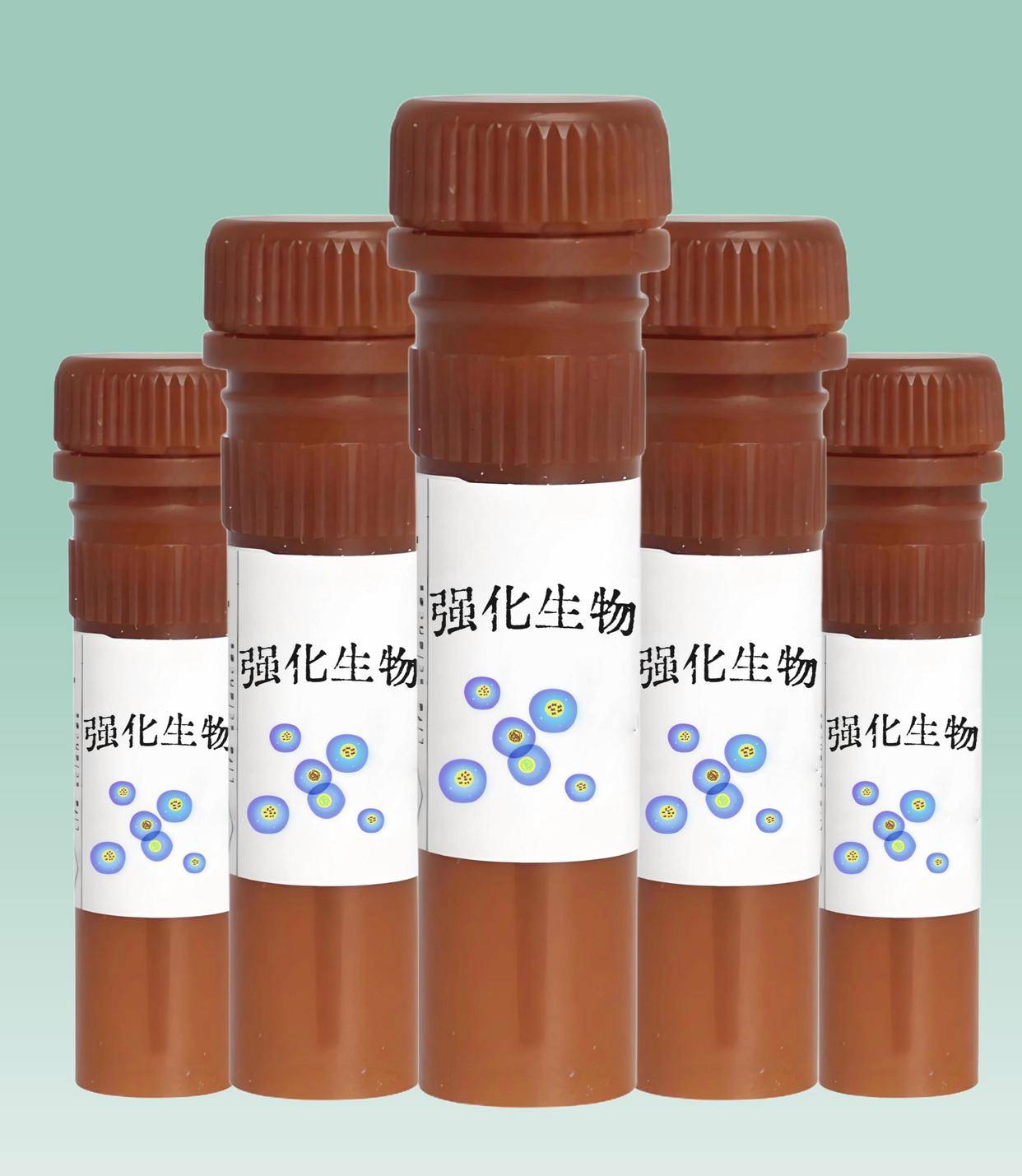 EnhancedGreen Fluorescent Protein(EGFP)，结构与特性_SProbe_荧光_检测