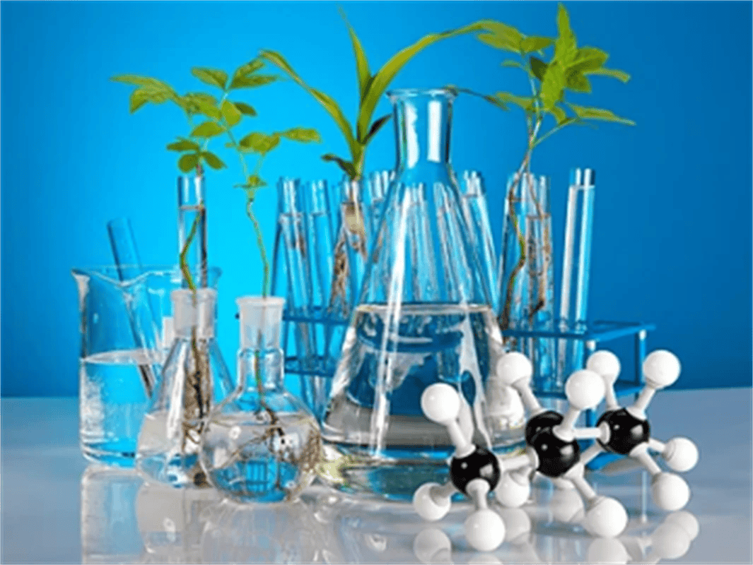 Alexa Fluor 660 Cholera Toxin Subunit B，可以作为神经逆行示踪剂-阿仪网