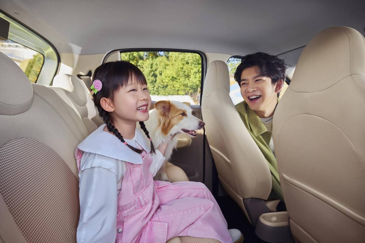 宏光MINIEV上市五周年促销，低至3.68万起，还能叠加国补2万元_搜狐汽车_搜狐网