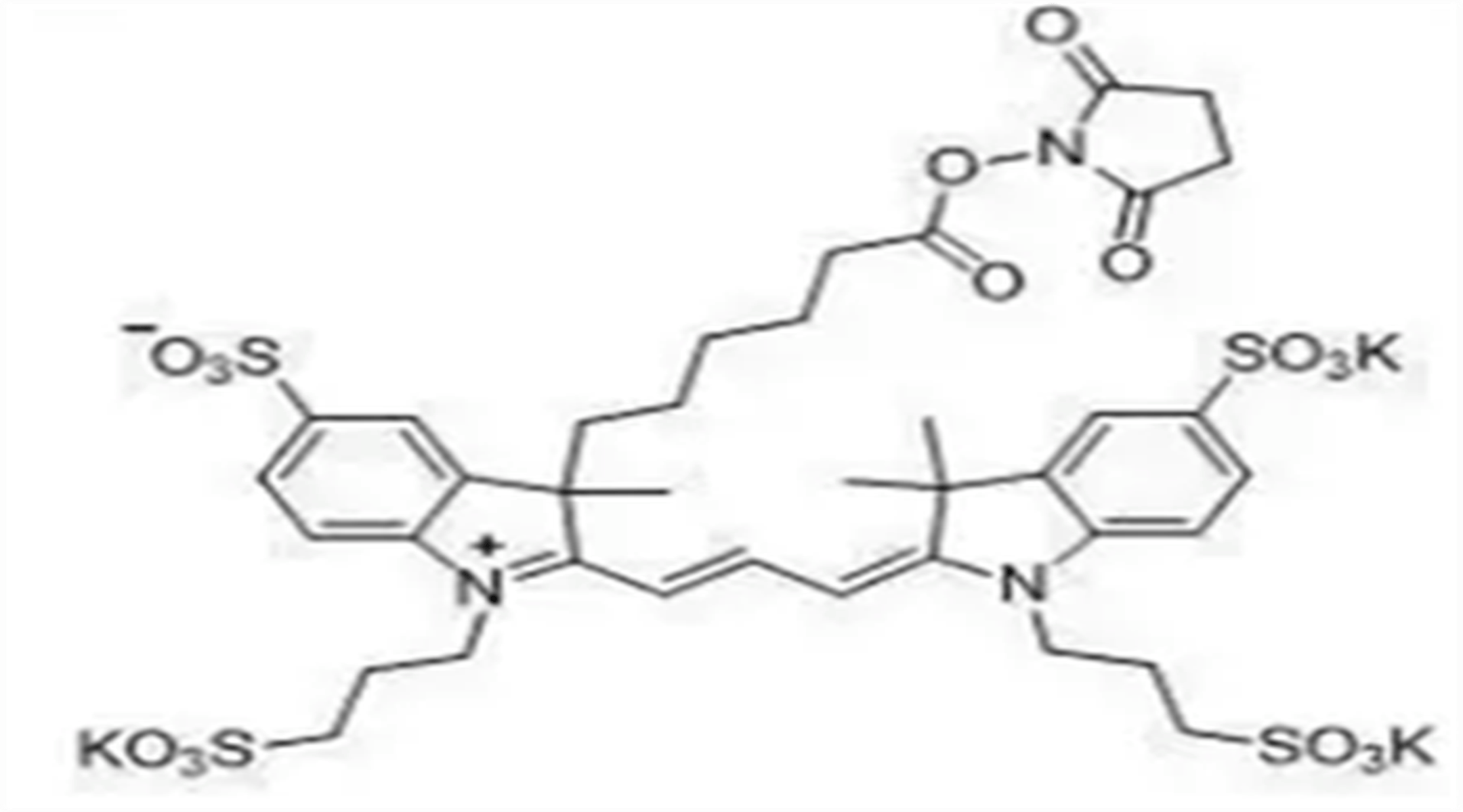 AF 555 NHS，AF555 NHS 活化酯