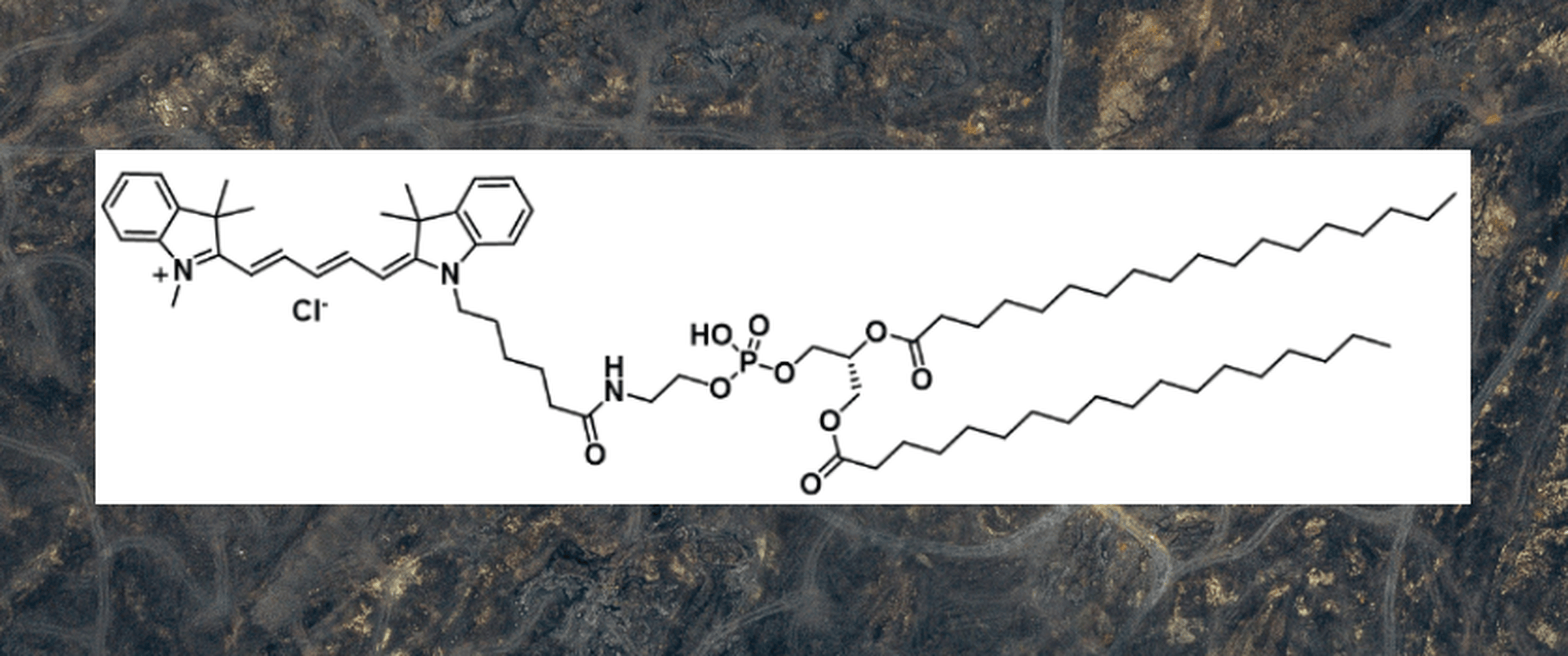 Sulfo-Cyanine5 bis-NHS ester，252255-42-8常用于生物学研究领域中的细胞膜蛋白