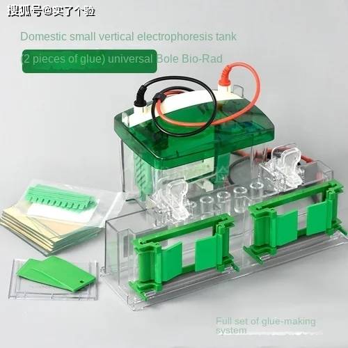 伯乐Bio-Rad 1658003 Mini-PROTEAN Tetra 电泳槽_实验_系统_设计