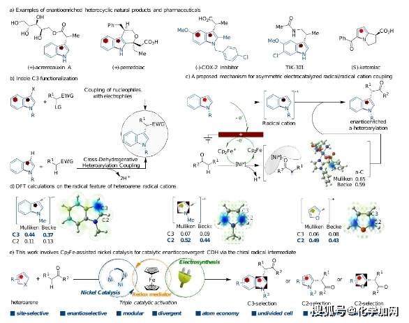 Angew：电催化吲哚、吡咯和呋喃的不对称交叉脱氢杂芳基化反应_化学品_化合物_选择性