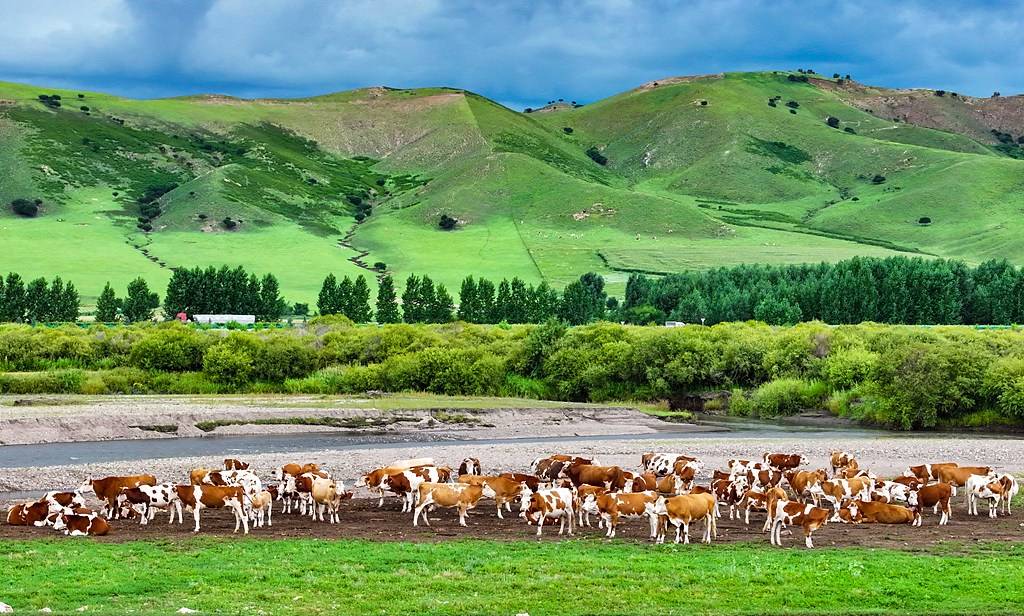 回望2025年：穿越四季赏中国 看大美锦绣山河_美景_游客_景区