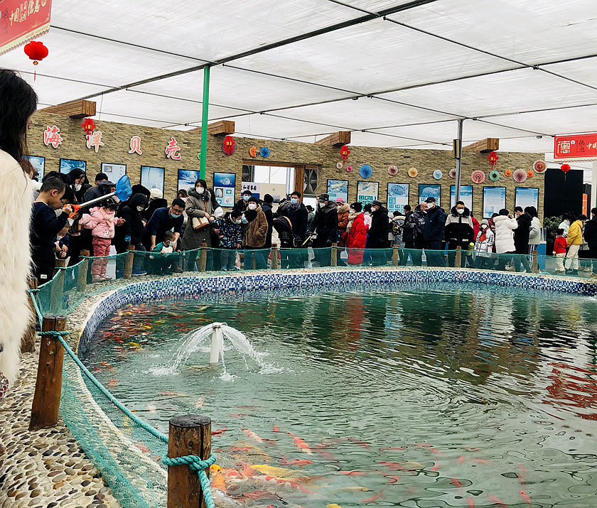 FM96.8 | 冬季农博会正式开展_门票_长春_冰雪