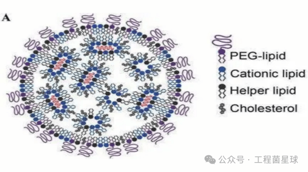 如何使用PNI（Precision Nano Systems）制备mRNA脂质纳米颗粒(LNP)_混合_微流_Lipid