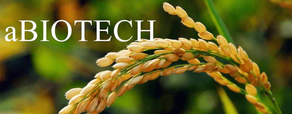 aBIOTECH | 阮珏团队开发快速和特异性检测miRNA/短RNA片段的方法_测试_one-pot_论文