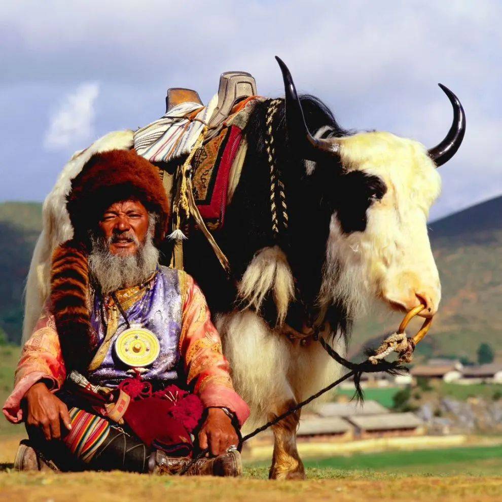 HCSSA百家谈｜赵辉：摄影艺术的科学呈现_活动_哈佛_中国