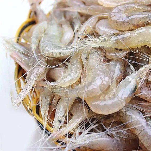 “太湖三白” 之白虾 吃法 苏州 数量