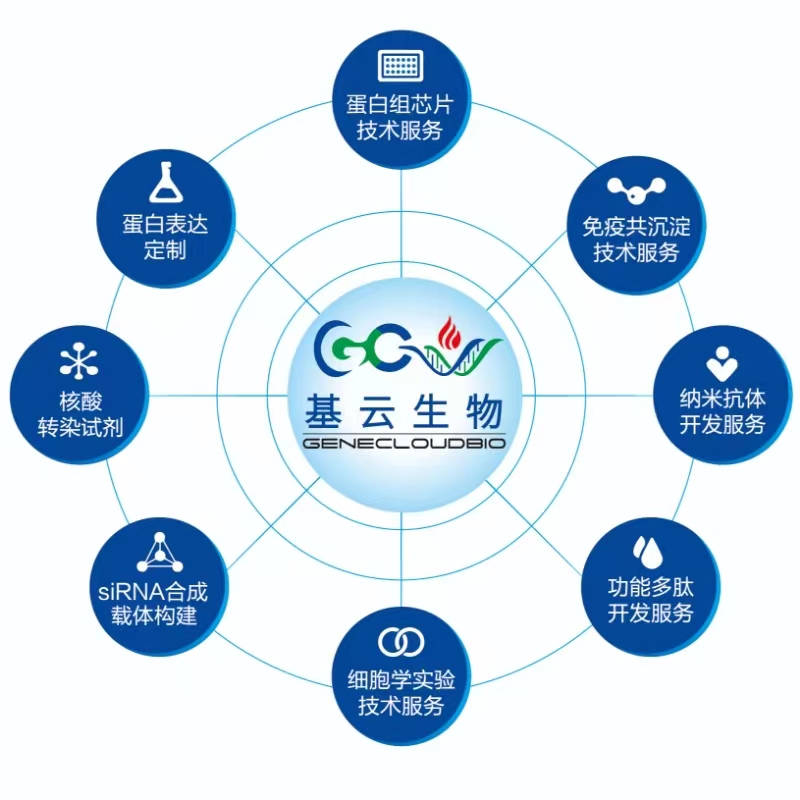 CoIP实验流程方法及质控，免疫共沉淀_min_蛋白_ml