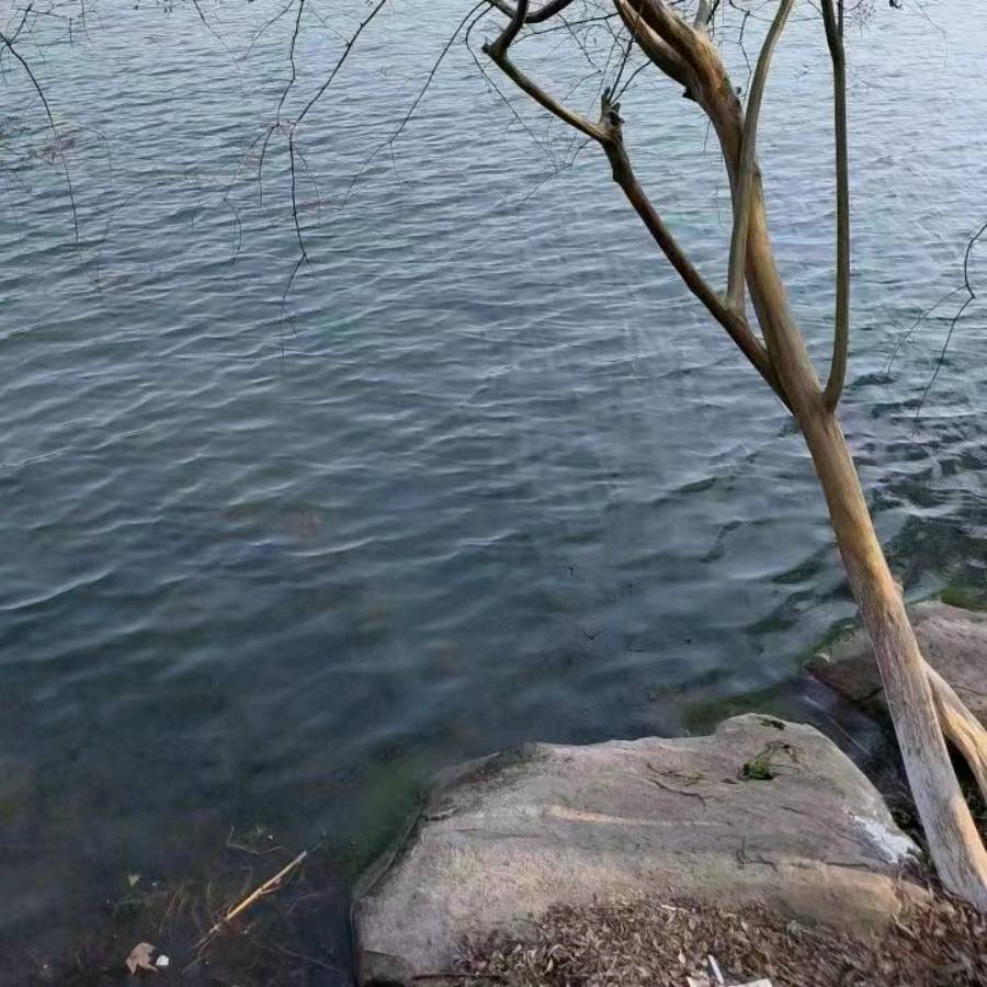 2025年XGP会员订阅全攻略：简化流程与网络优化_Game_Pass_游戏