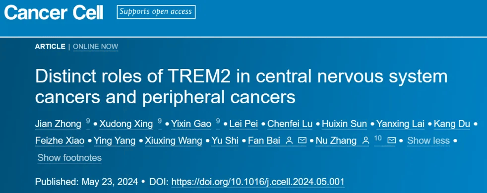 Cancer Cell | 中山大学张弩/北京大学白凡揭示TREM2在中枢神经系统癌症和外周肿瘤中的独特作用_研究_细胞_进展