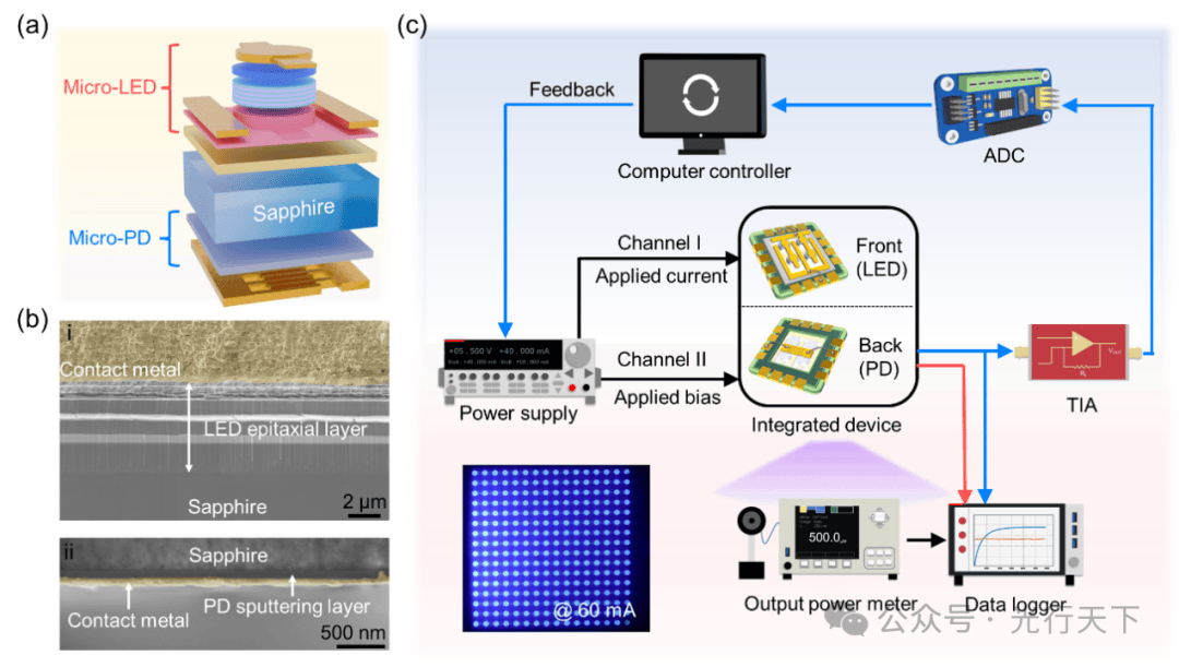 中国科大在无掩膜深紫外光刻技术研究中取得新进展_micro-LED_集成_阵列