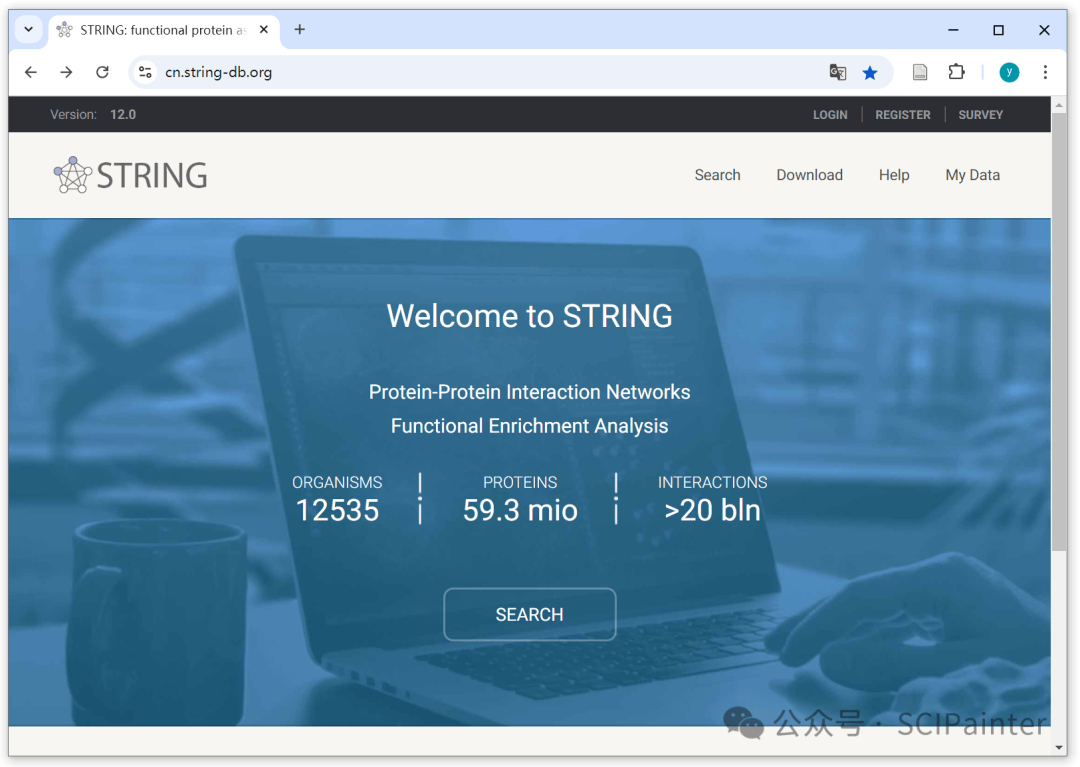 如何查找互作蛋白？_预测_BioGRID_网络图