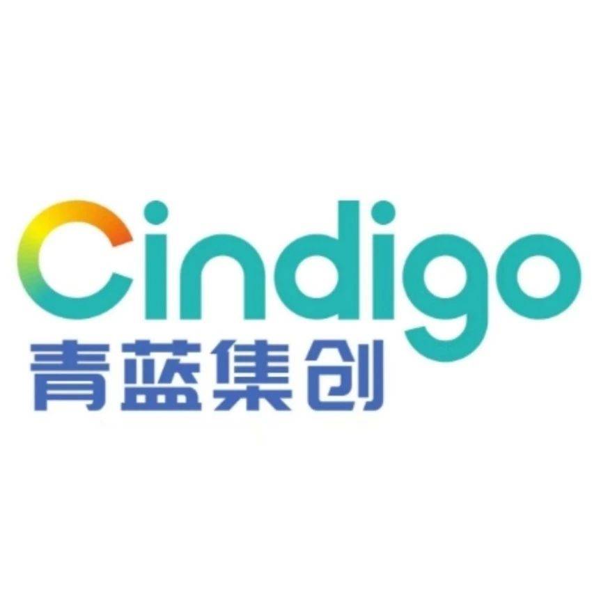 【首发】青蓝集创完成数千万人民币天使轮融资，加速软硬镜一体化平台Cindigo Ori商业化_内窥镜_国产_动脉