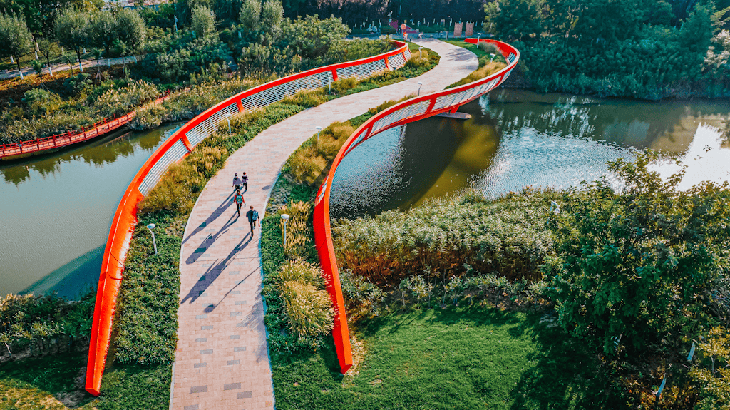 《China Daily》：Eco-city challenge to inspire innovation_手机搜狐网
