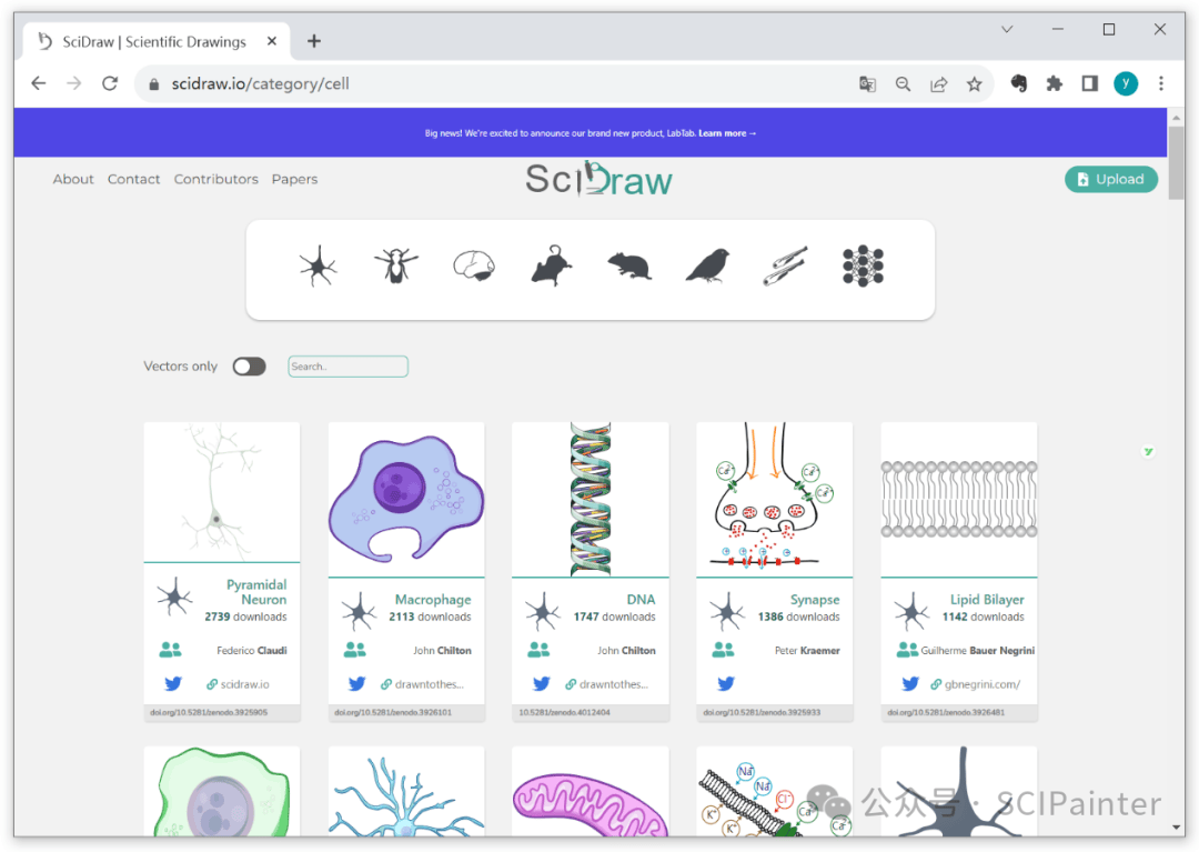 如何轻松完成论文或PPT所需的科研插图？_素材_BioArt_https
