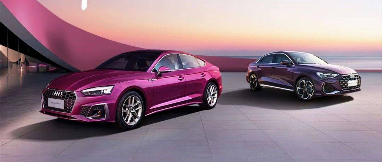 2024奥迪北部区 Ms.Audi DAY_北京
