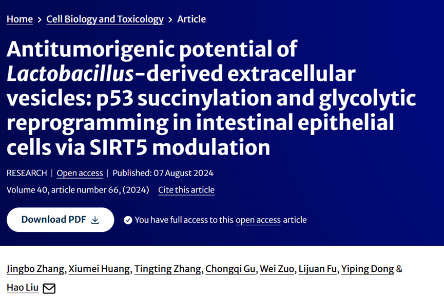 益生菌竟能抗癌？！Cell Biol Toxicol揭示乳酸杆菌来源细胞外囊泡抑制结肠癌新机制_研究_调节_影响