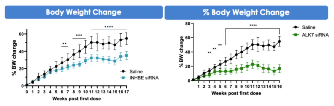 靶点和配体的双押暗棋：小核酸龙头，如何突破减肥药研发困局？_尔泊_药物_脂肪酸