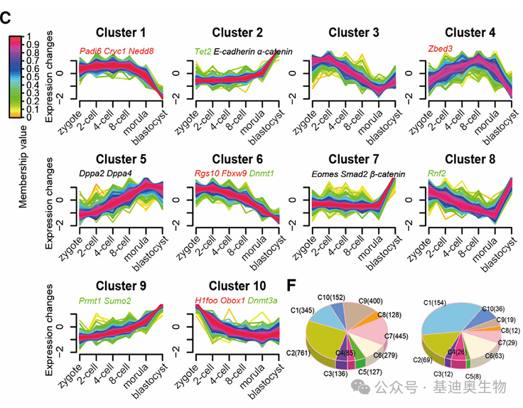 Mfuzz的一些实际应用_Cluster_分析_患者