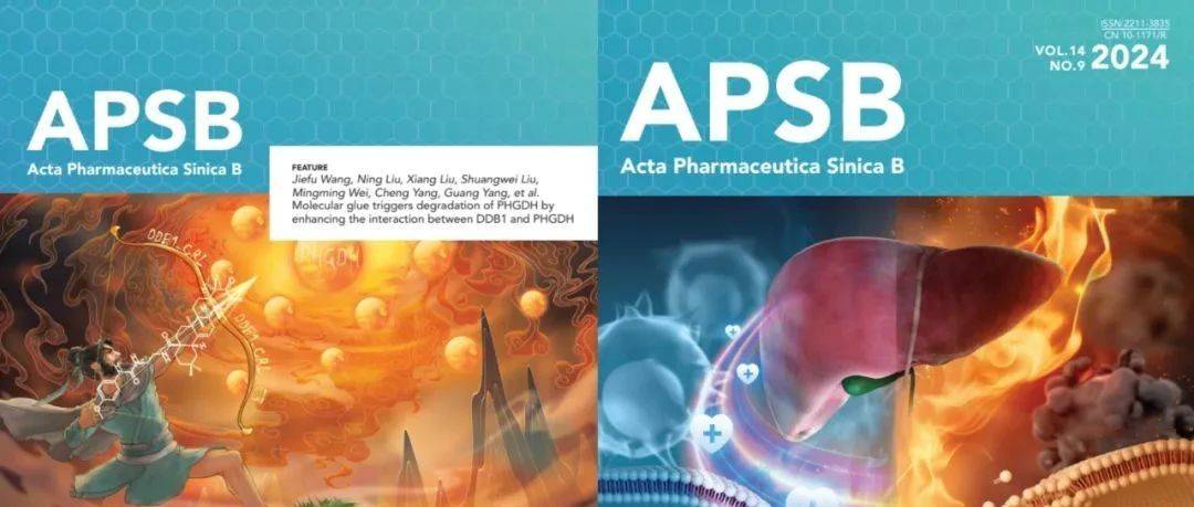 【APSB】2024年9期_Xiang_avenue_Padilla