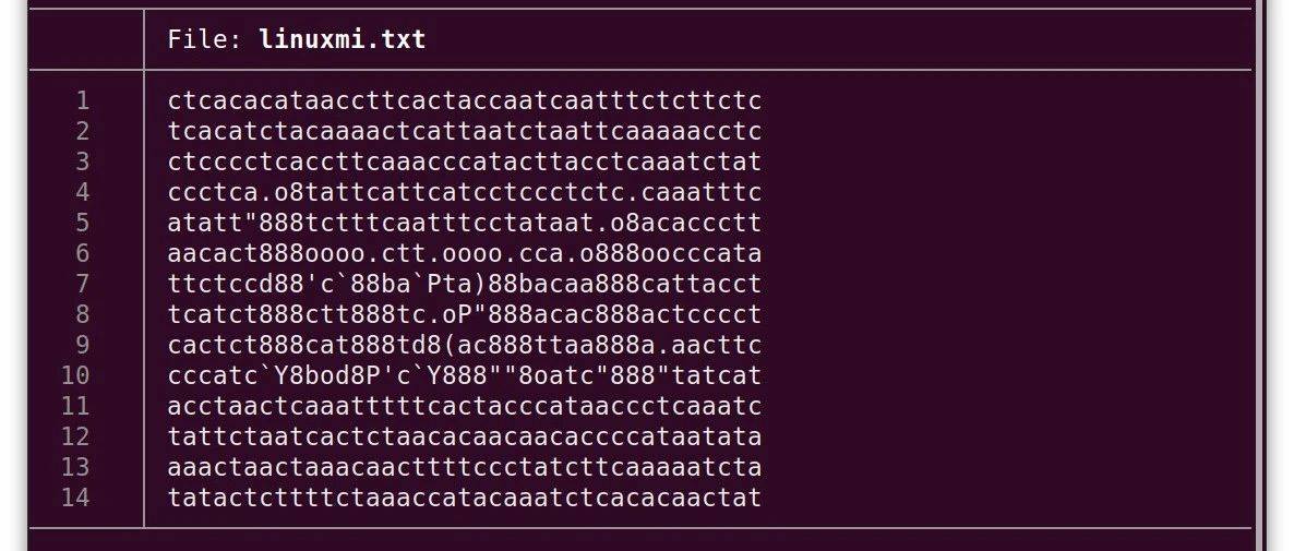 Bat v0.25 发布：更智能的 cat 替代工具迎来重大更新_用户_空行_命令行
