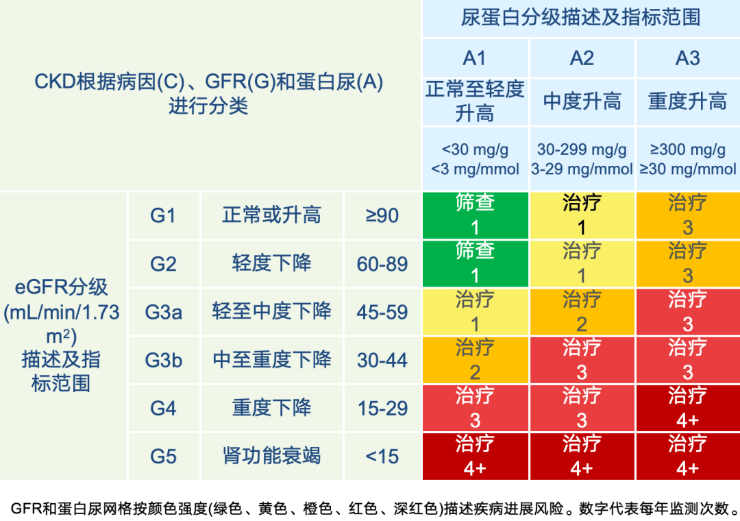 2024 版 KDIGO CKD 评估与管理临床实践指南要点更新解读_患者_抑素_检测