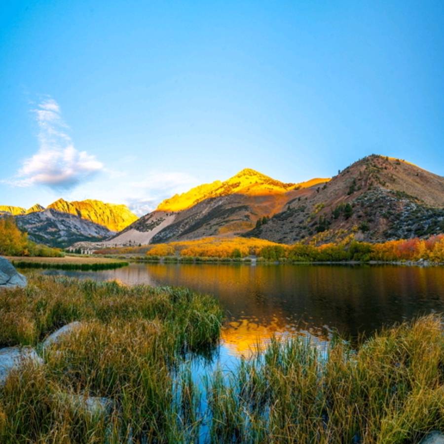 法甲前瞻：朗斯 VS 圣埃蒂安，排名保卫战_进攻_比赛_中场球员