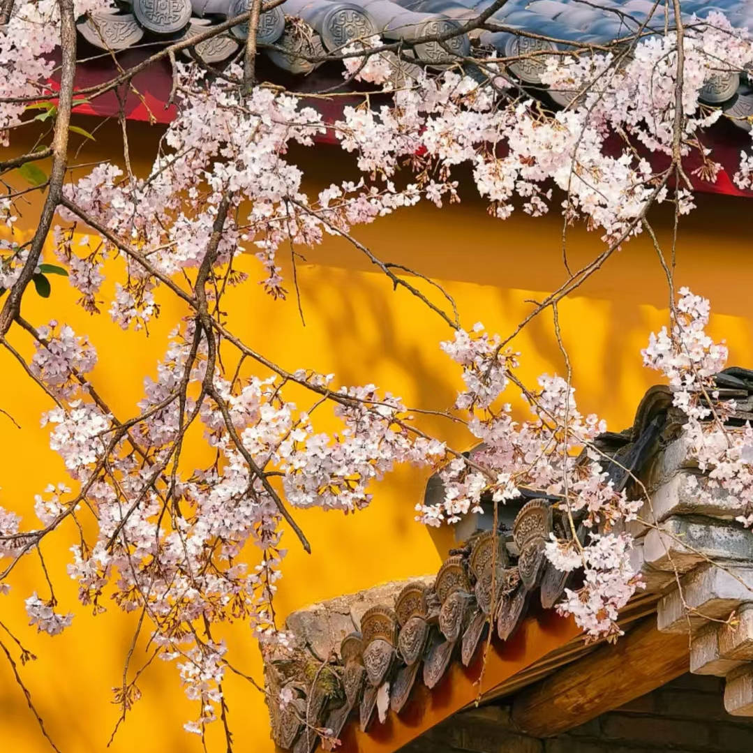 破解转型难题：中国移动“行业专网+”定制化方案显实效_远程_OnePower_产业