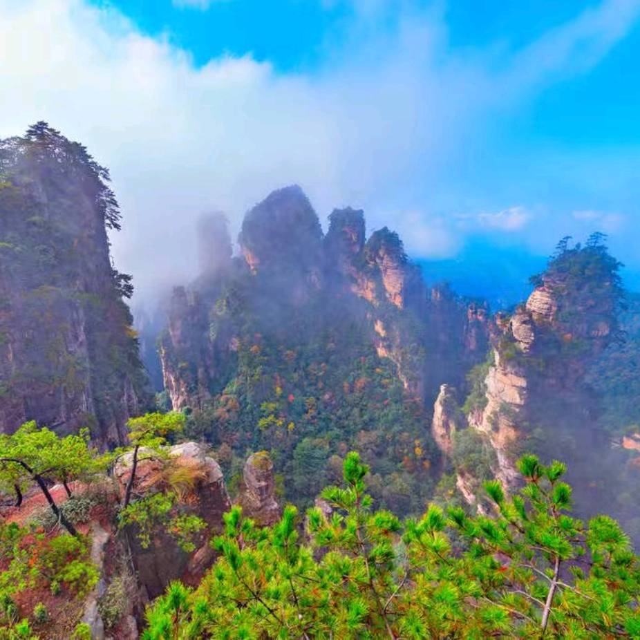 CCTV16直播国安VS英博！周董李明当决不决把塞蒂恩打下课才够哥们_大连_比赛_联赛