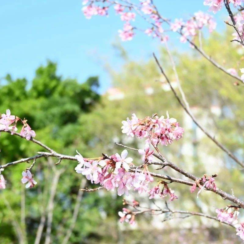 人间「小满」胜万全！_PTUers_生活_人生