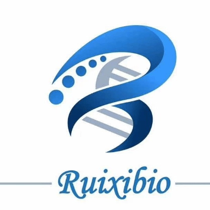 DiI 荧光标记的抗EpCAM单抗修饰脂质体的作用原理与主要功能_纳米_细胞_负载