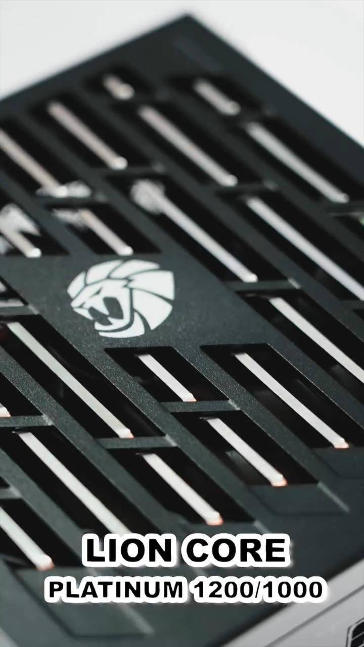 游戏帝国台北电脑展首发：LION CORE Platinum电源，终身保修新纪元_产品_模组化
