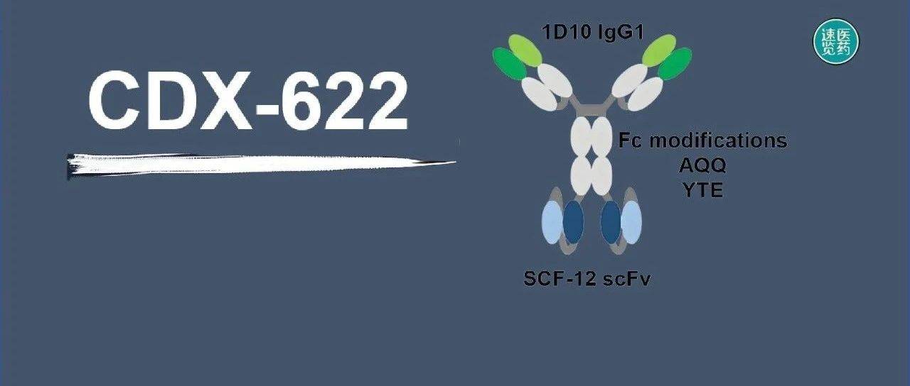 CDX-622： 一种针对肥大细胞和TSLP的双抗药物_干细胞_炎症_mAb