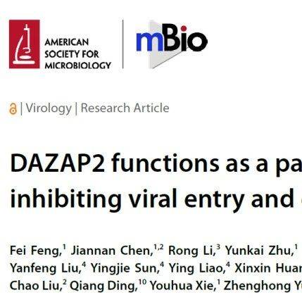 mBio | 张荣等团队发现宿主蛋白DAZAP2广谱性限制冠状病毒入胞和复制_研究_基因组_机制