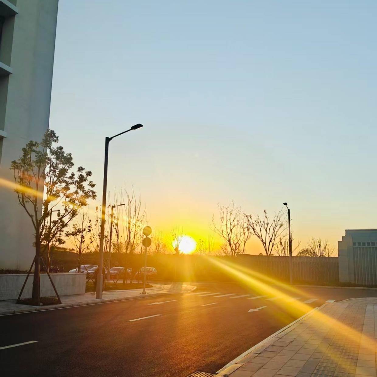 多肽合成，LH-RH (salmon) ，Pyr-His-Trp-Ser-Tyr-Gly-Trp-Leu-Pro-Gly-NH2_鲑鱼_受体_调控