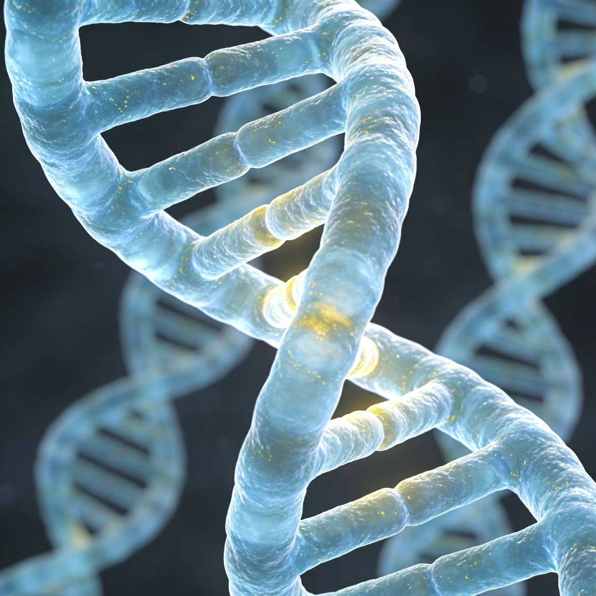 [Arg8]-GTP-Binding Protein Fragment, Gsα ；Cys-Lys-Gln-Leu-Gln-Arg-Asp ...