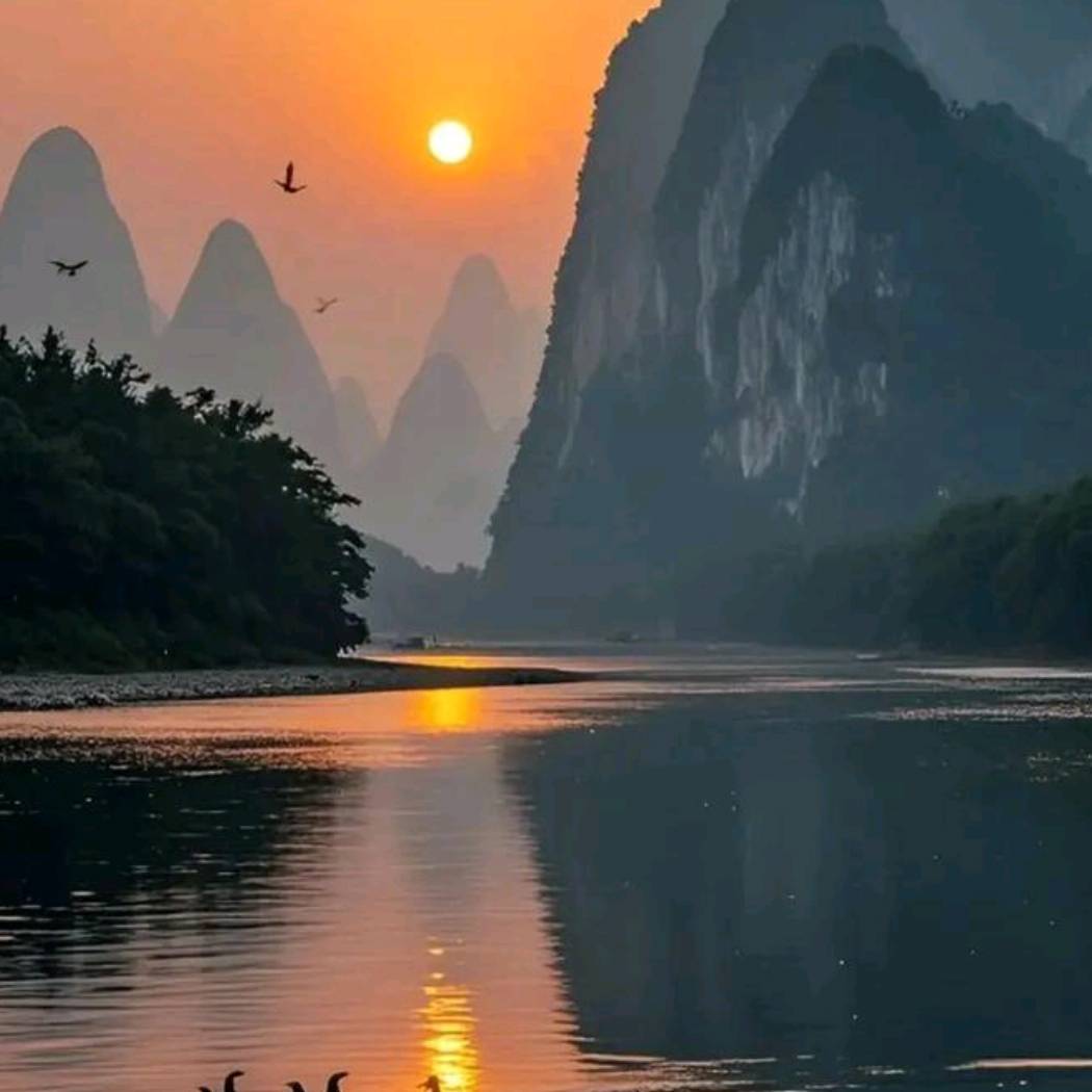 网站突然不收录了？服务器和robots.txt问题自查_索引_内容_爬虫